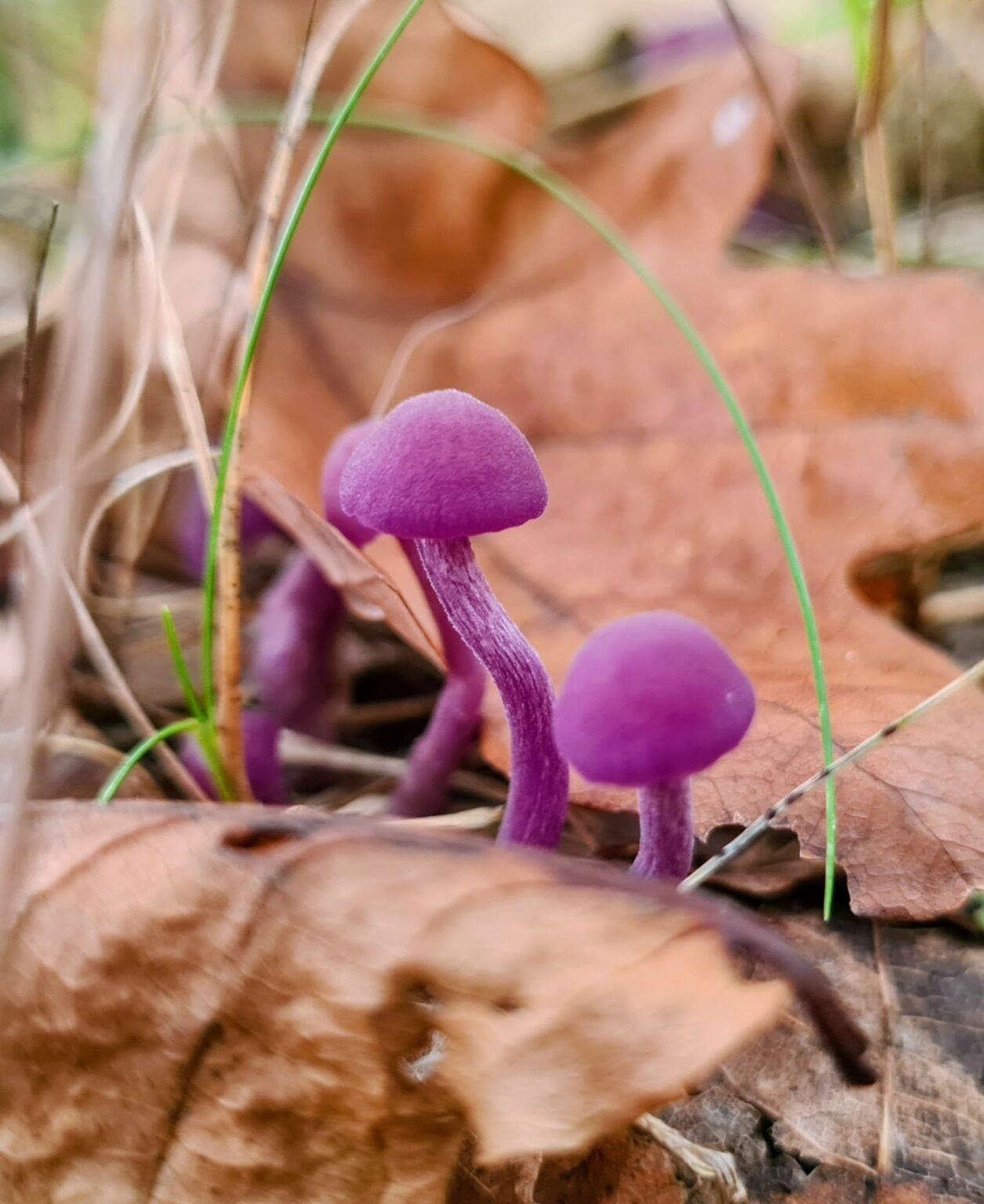 Connection - Jonathan Sheriff | Psychotherapy, Workshops & Wellbeing